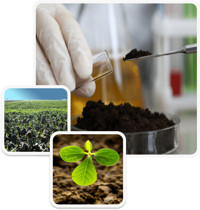 Soil Testing Solutions
